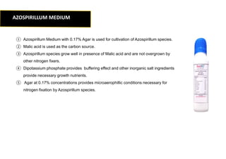 AZOSPIRILLUM | PPTX