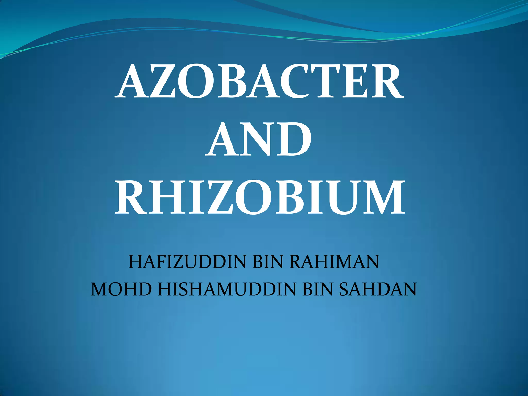Azobacter & Rhizobium | PPTX