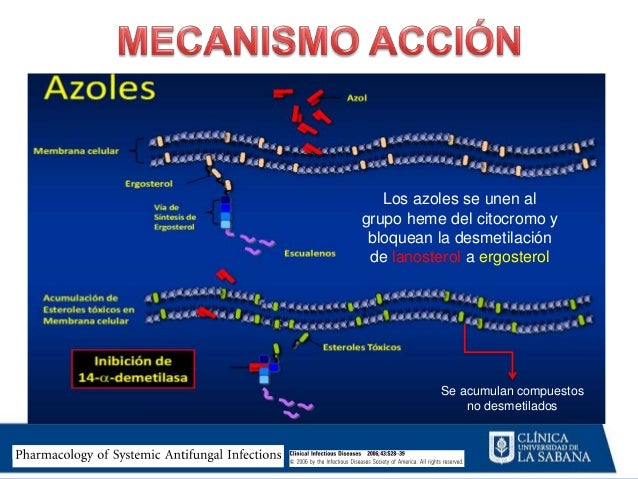 ANTIMICOTICOS AZOLES. FARMACOLOGIA CLINICA