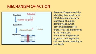 ANTIFUNGAL DRUGS - AZOLES. ppt . | PPTX