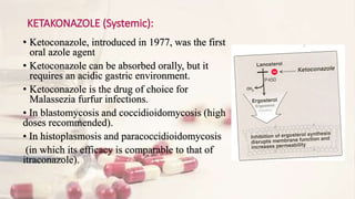 ANTIFUNGAL DRUGS - AZOLES. ppt . | PPTX