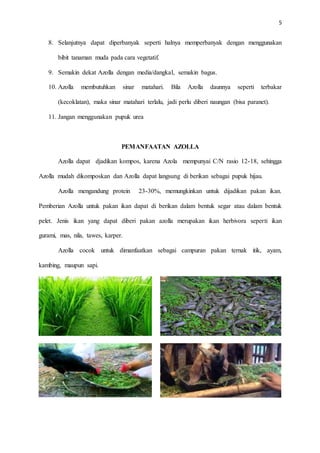 Azolla | DOCX
