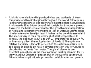 azolla.pptx
