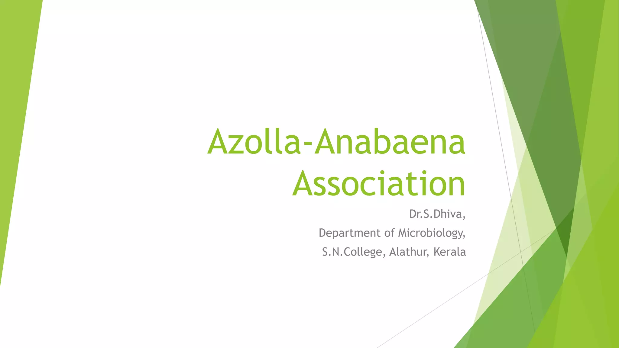 Azolla anabaena association | PPTX