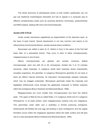 Azolla as a biofertilizer in africa | PDF