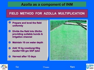 Azolla as a component of INM and livestock feed .ppt