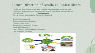 Azolla as Biofertilizer : Unlocking the Green Potential, Azolla as a ...