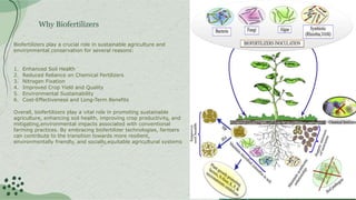 Azolla as Biofertilizer : Unlocking the Green Potential, Azolla as a ...