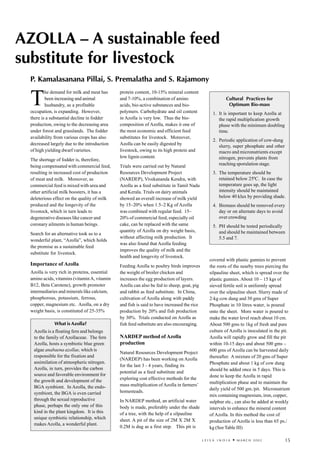 AZOLLA – A sustainable feed substitute for livestock | PDF