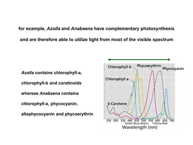 Azolla event talk june 2014 part 2 | PPT