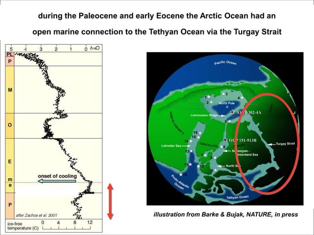 Azolla event talk june 2014 part 2 | PPT