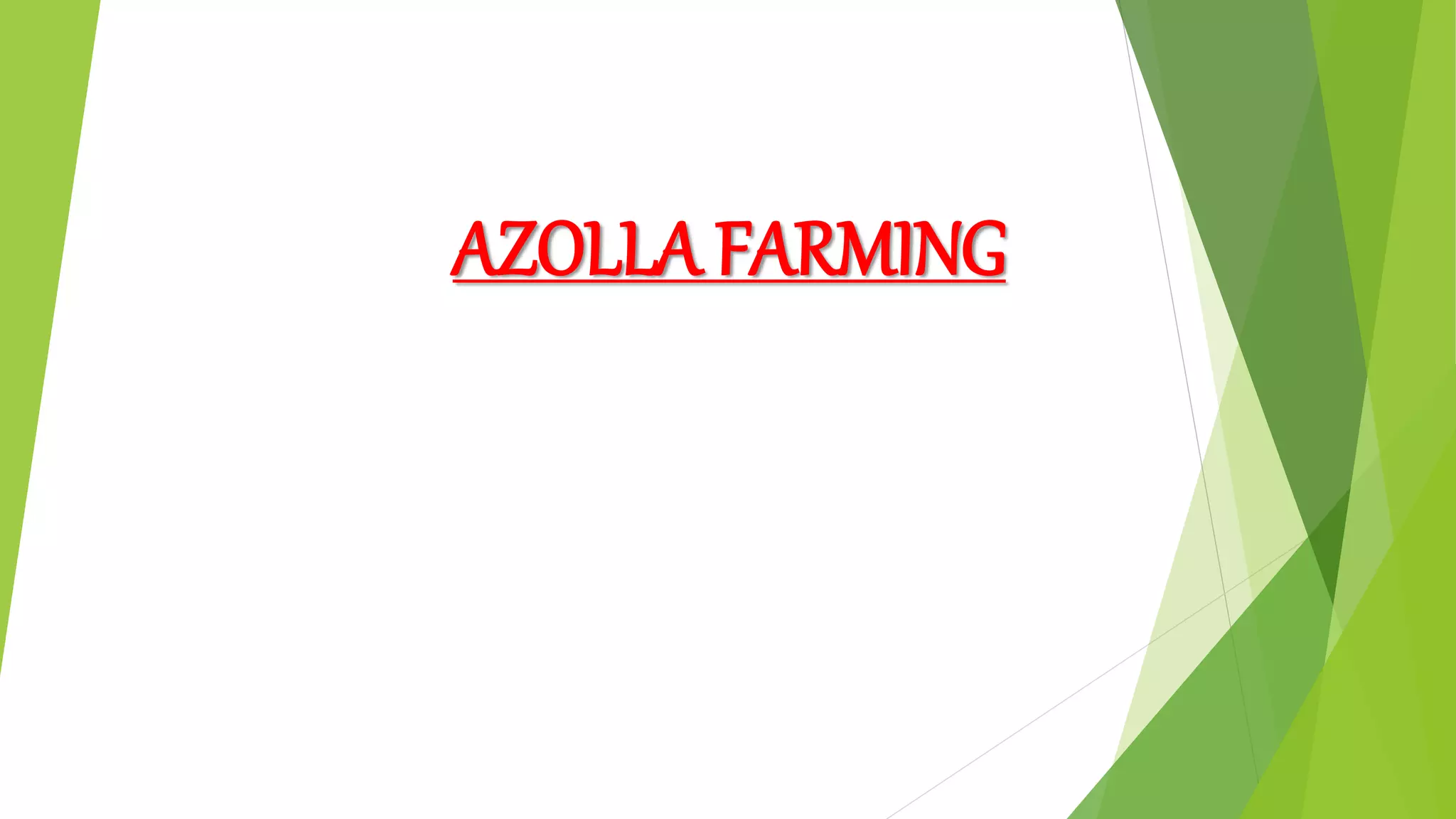 Azolla farming mace | PPTX