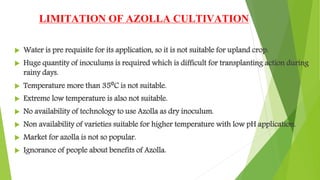 Azolla farming mace | PPTX