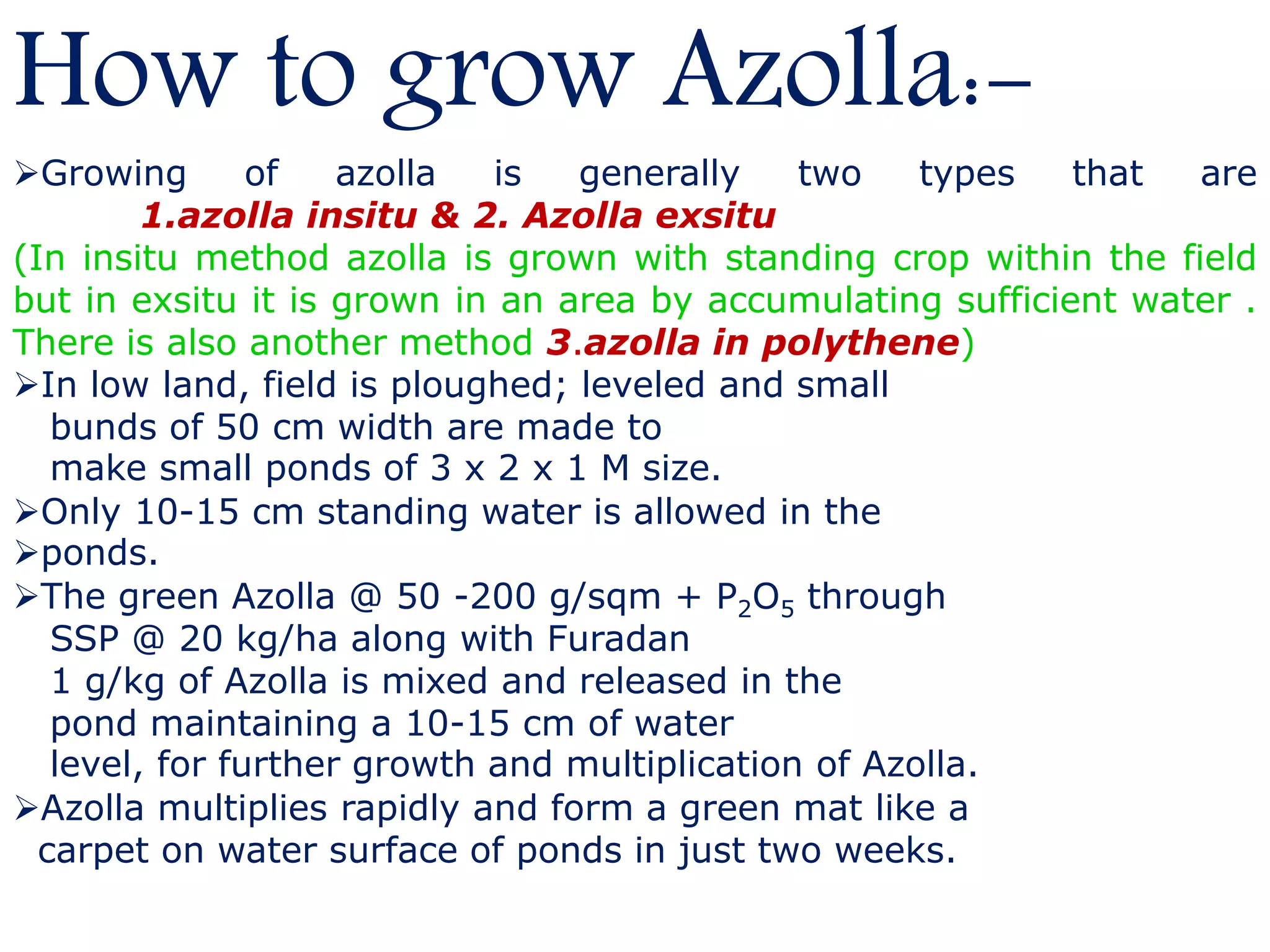 Azolla ppt | PPTX