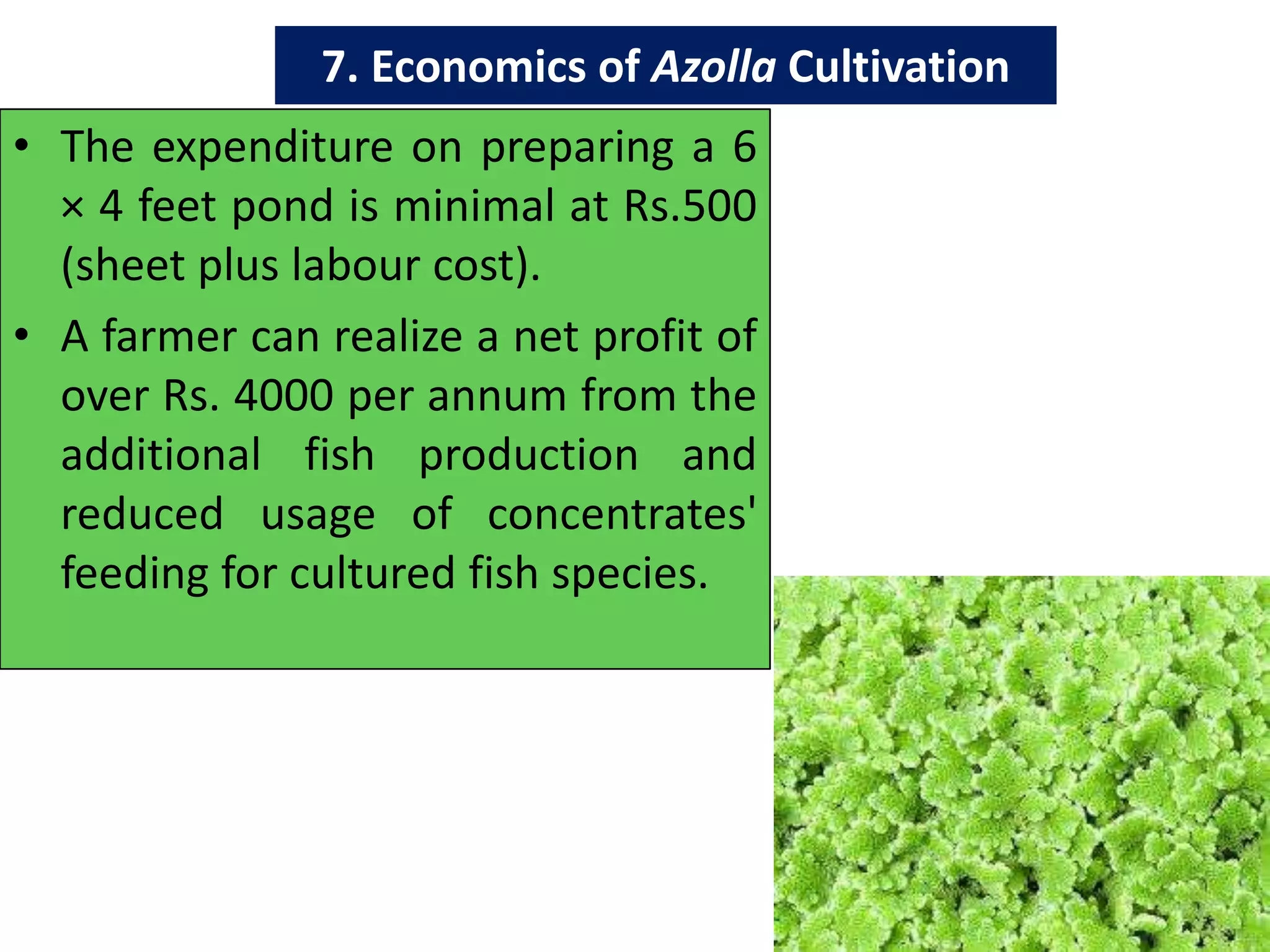 Azolla ppt | PPTX