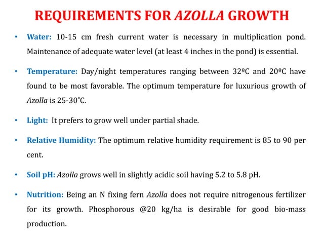 Azolla ppt | PPTX