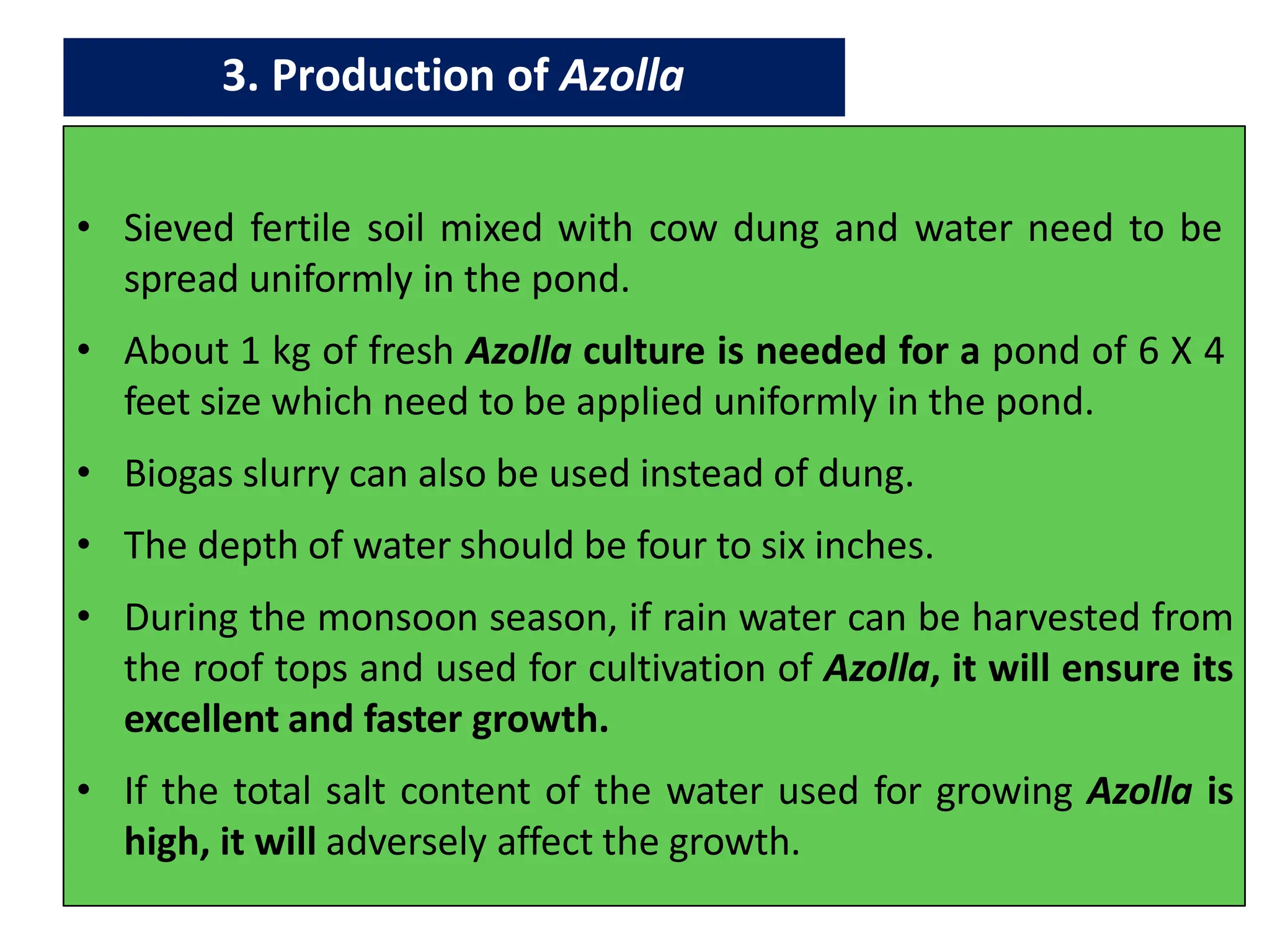 azollaaaaaaaaaaaaaaaaaaaaaaaaaaappt.pptx