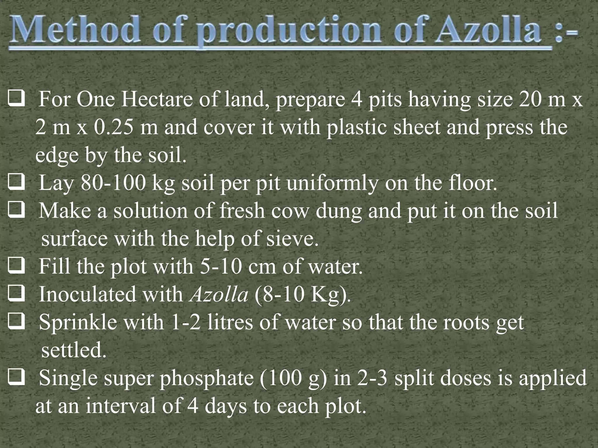 Azolla production and its application | PPTX