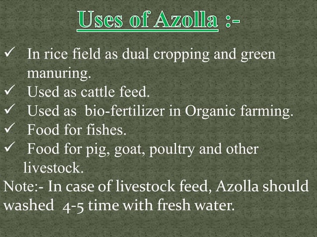 Azolla production and its application | PPTX