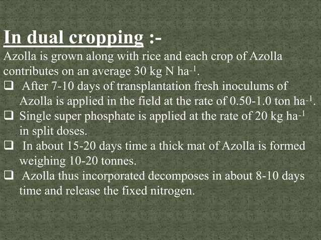 Azolla production and its application | PPTX