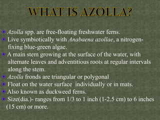 Azolla production and its application | PPTX