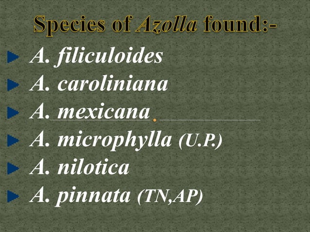 Azolla production and its application | PPTX