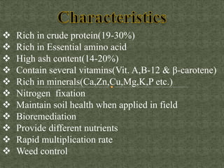 Azolla production and its application | PPTX