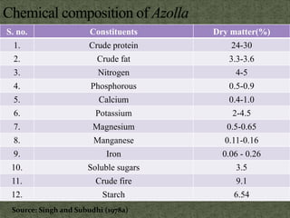 Azolla production and its application | PPTX