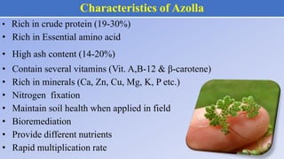 Azolla production | PPTX