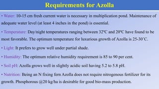 Azolla production | PPTX