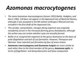 Azomonas | PPTX