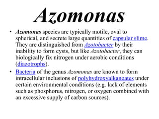 Azomonas | PPTX
