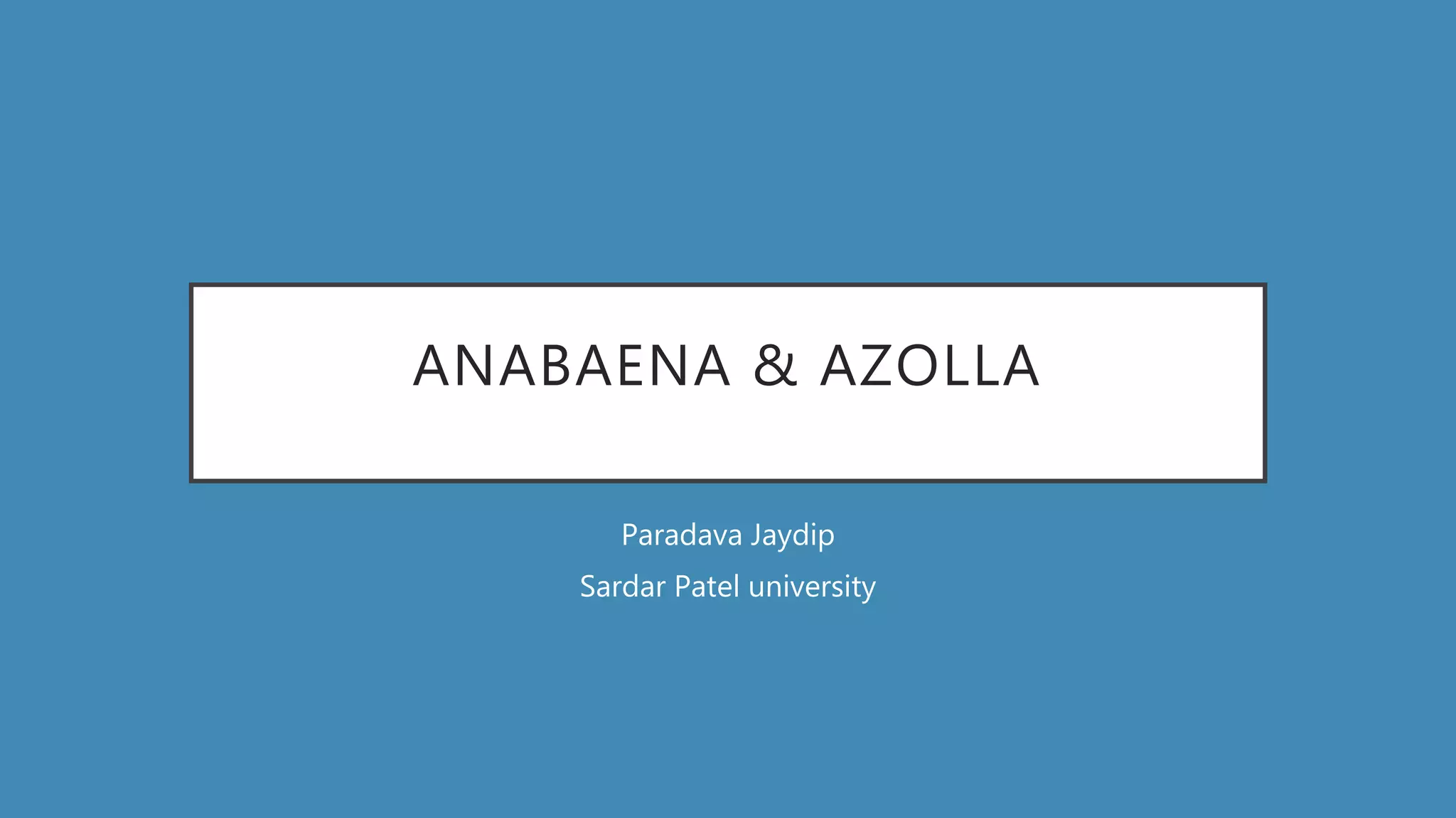 anabaena and azolla power point presentation | PPTX