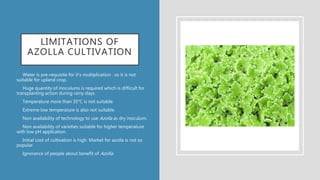anabaena and azolla power point presentation | PPTX