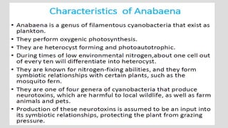 anabaena and azolla power point presentation | PPTX