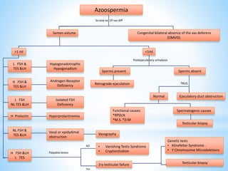 Azoospermia how to manage azoospermia.pptx
