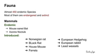 Azores and Bermuda islands | PPT