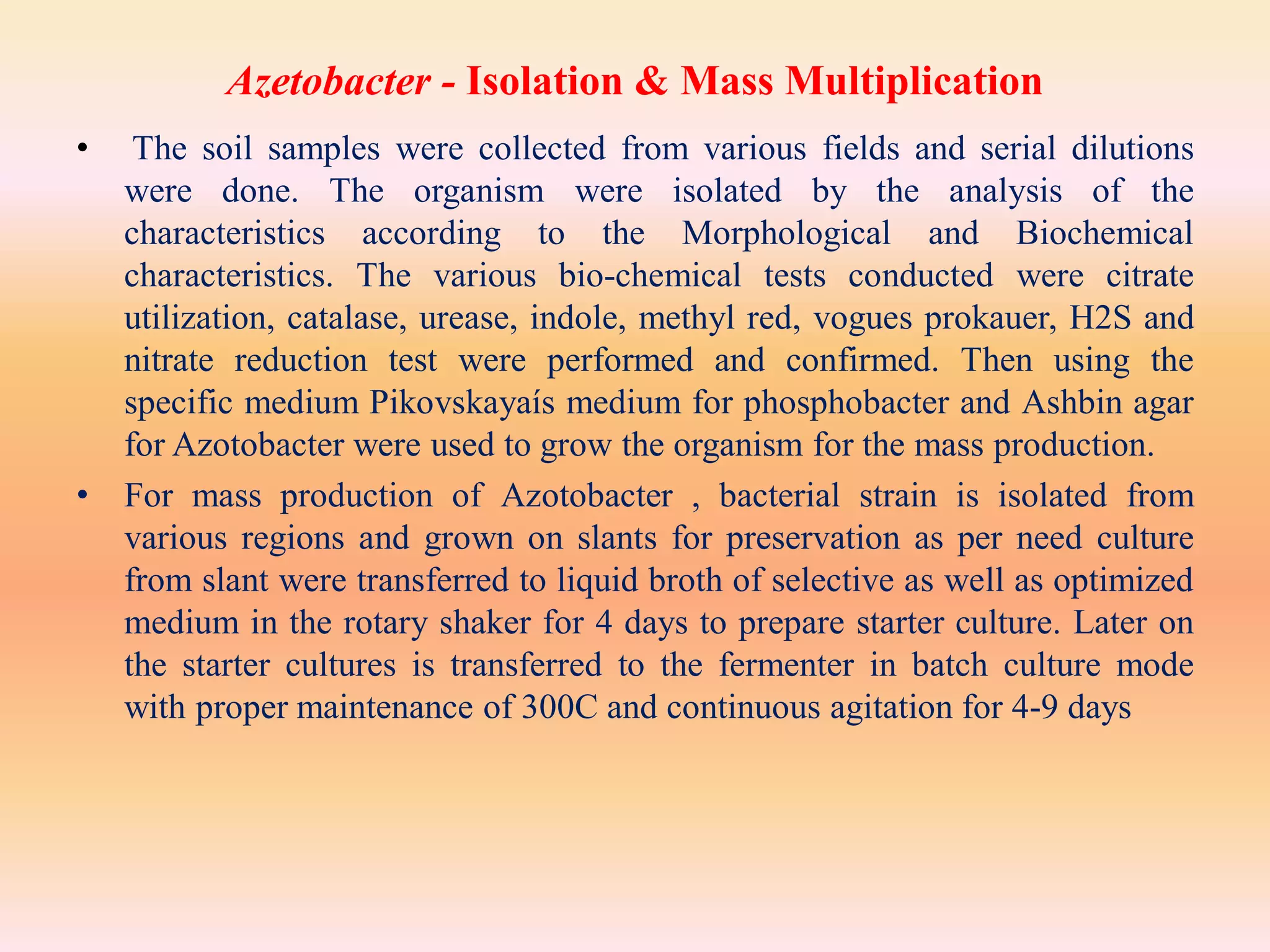 Azospirilum- Isolation & Marketing | PDF