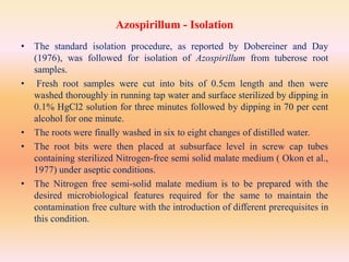 Azospirilum- Isolation & Marketing | PDF
