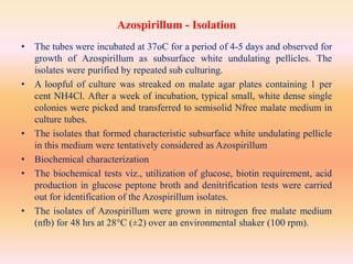 Azospirilum- Isolation & Marketing | PDF