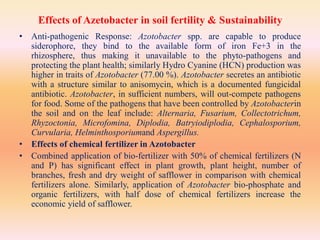 Azospirilum- Isolation & Marketing | PDF