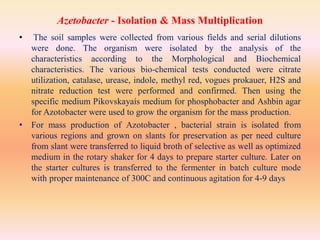 Azospirilum- Isolation & Marketing | PDF