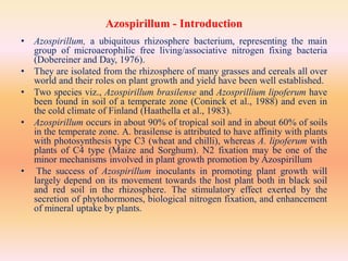 Azospirilum- Isolation & Marketing | PDF