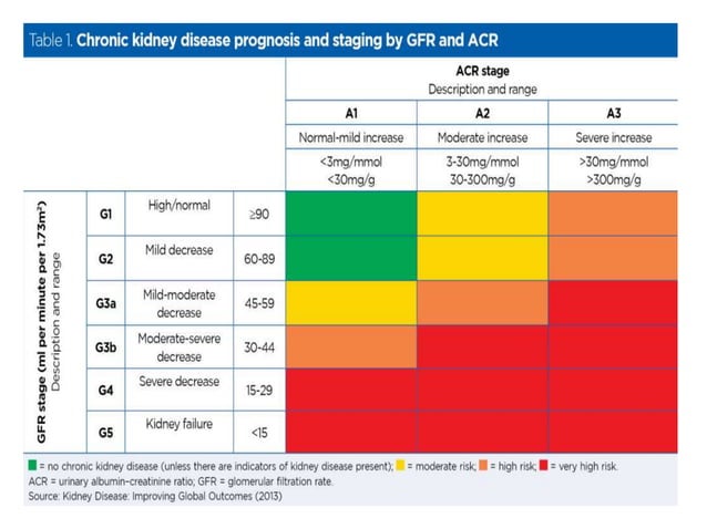 azotemia.pptx