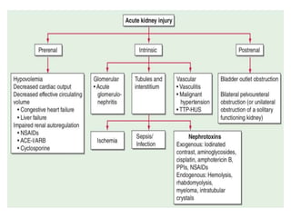 azotemia.pptx