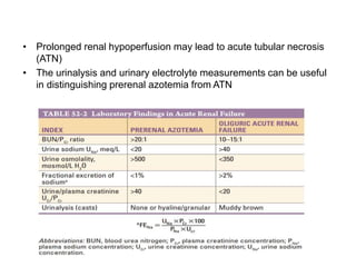 azotemia.pptx