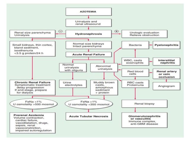 azotemia.pptx