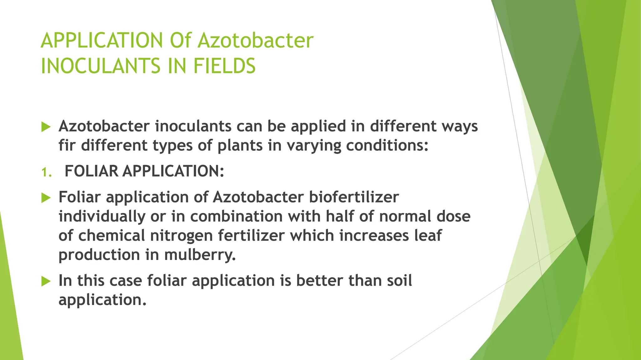 Azotobacter .pptx