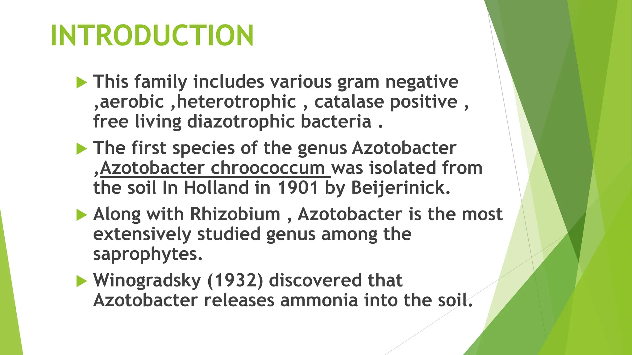 Azotobacter .pptx