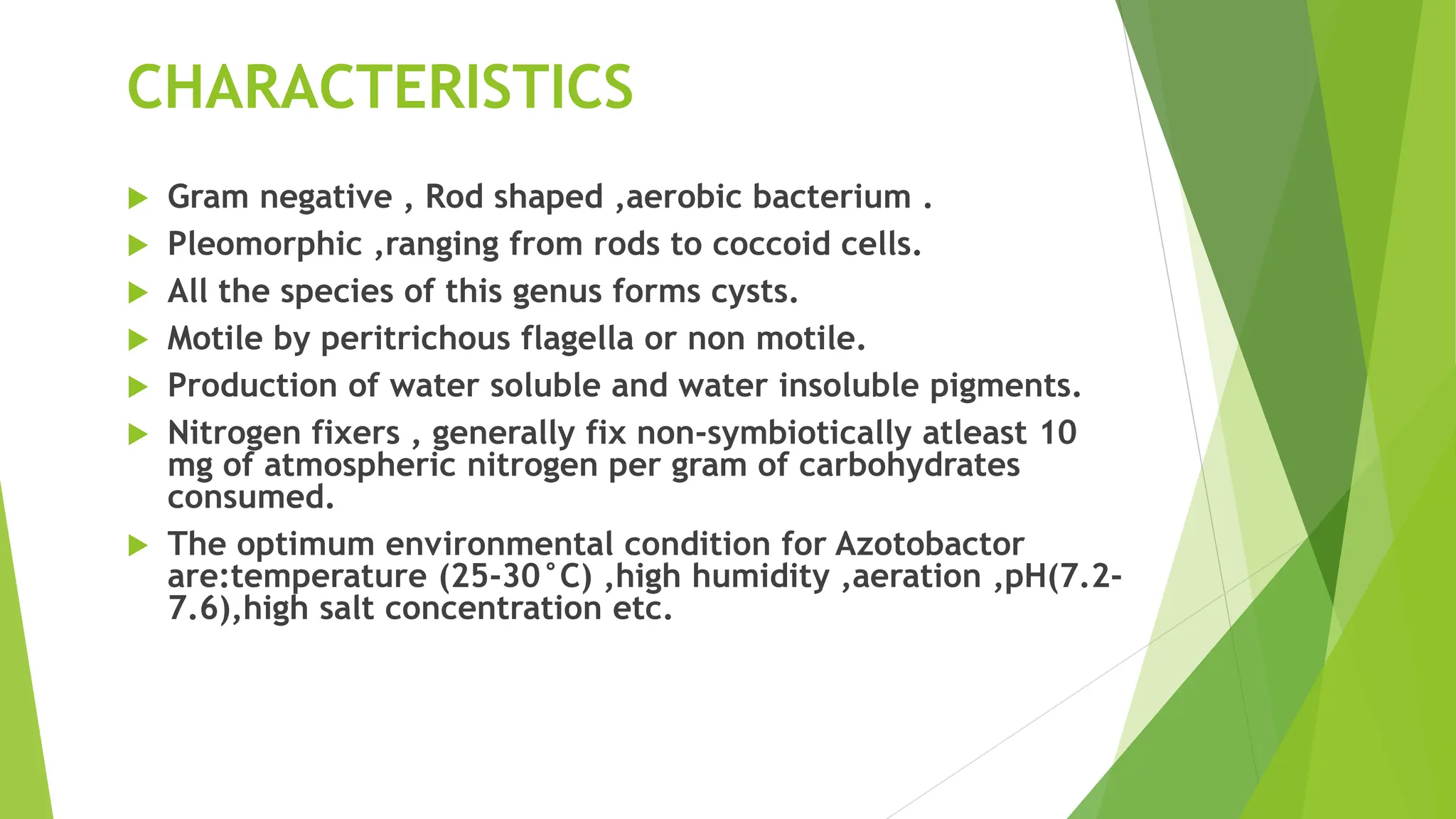 Azotobacter .pptx